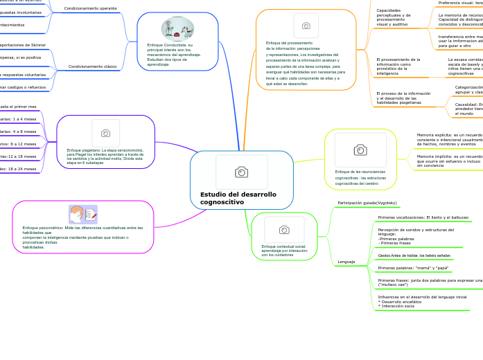 Estudio del desarrollo cognoscitivo - Mind Map